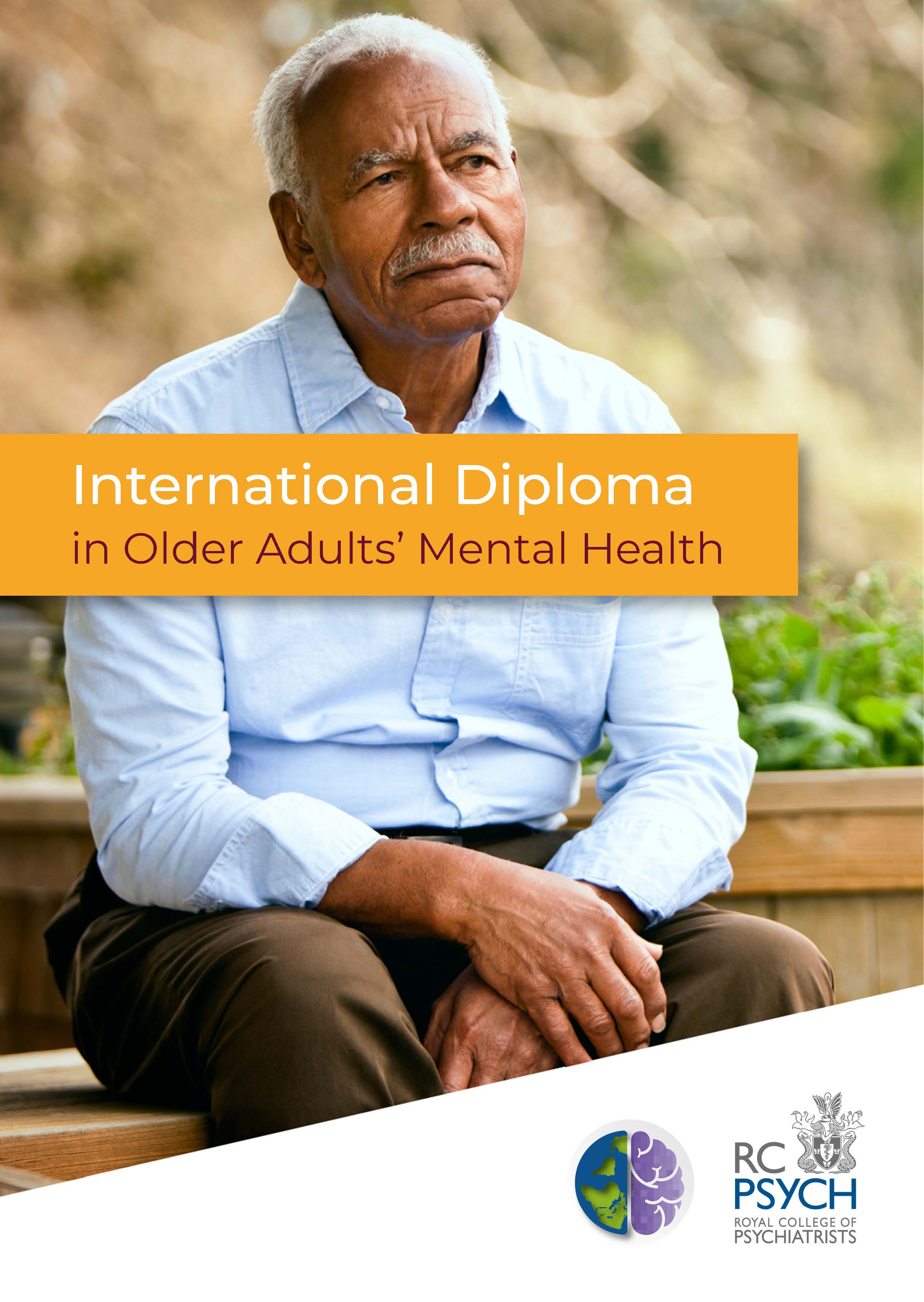 International Diploma